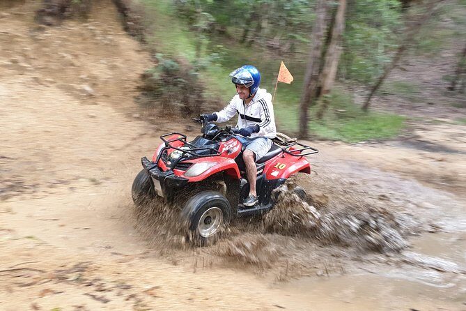 Noosa Quad Bike Tours - The Sum Up
