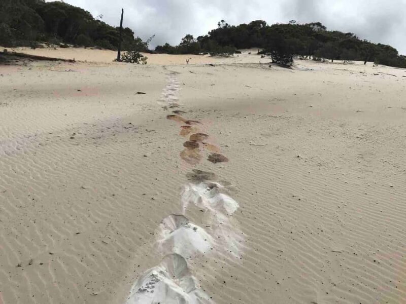 Noosa: Rainbow Beach Tour via Noosa Hinterland and Cooloola - Who Should Take This Tour?