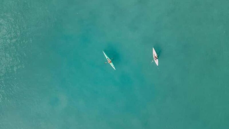 Noosa River: Mangroves and Mansions Guided Kayak Tour - What Makes This Tour Stand Out?