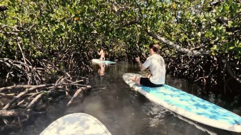 Noosa Stand Up Paddle & Mangrove Tunnel Tour (Self Guided) - Additional Practical Details