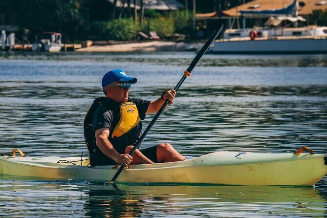 Noosa Whale Watching Cruise  Humpback Whale Adventure - The Sum Up