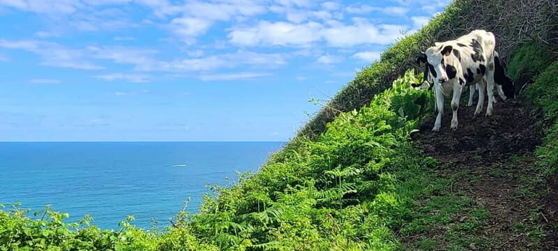 Nordeste/Northeast coast FULL DAY Waterfalls Hike - An In-Depth Look at the Nordeste/Northeast Coast Waterfalls Hike