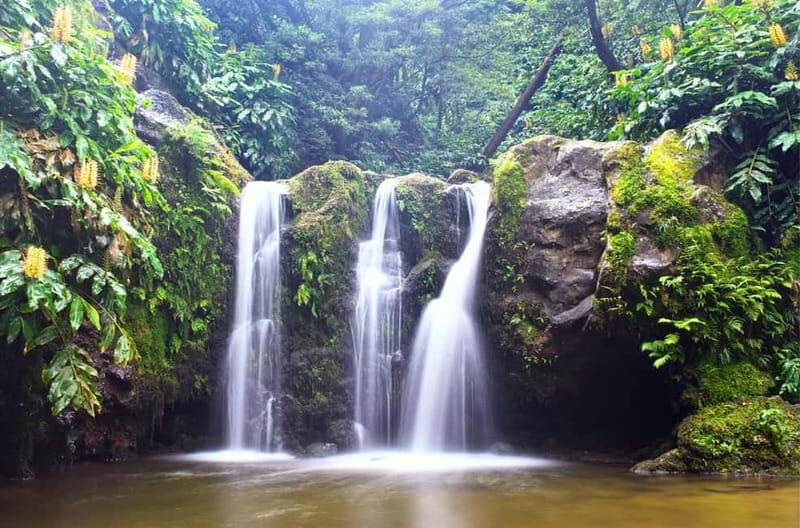 Nordeste/Northeast coast FULL DAY Waterfalls Hike - The Sum Up