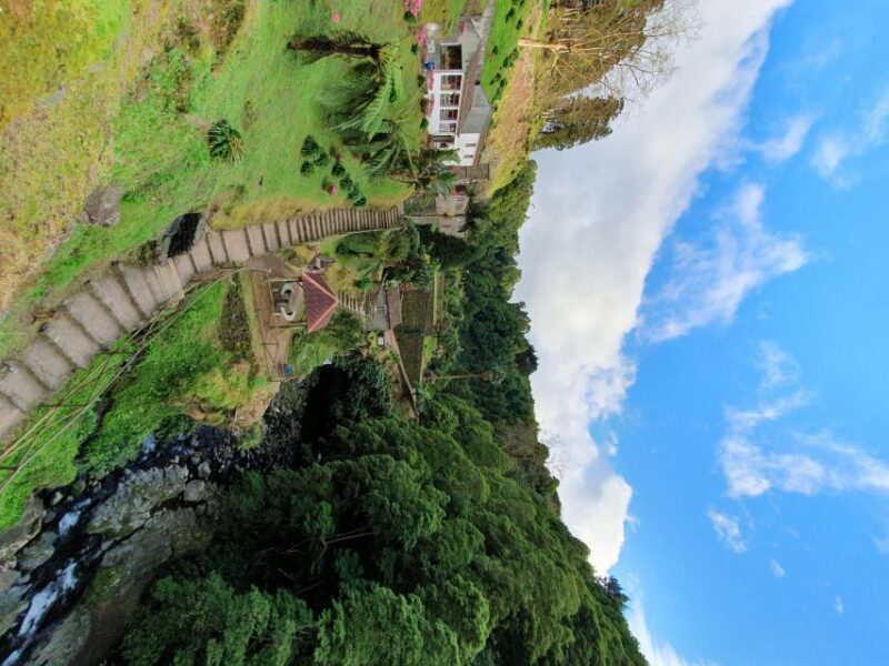 Nordeste Tour from Ponta Delgada - The Sum Up: Who Should Consider This Tour?