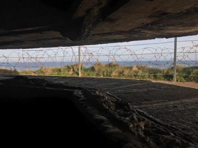 Normandy D-Day All Day Tour by Minibus from Paris - The Sum Up