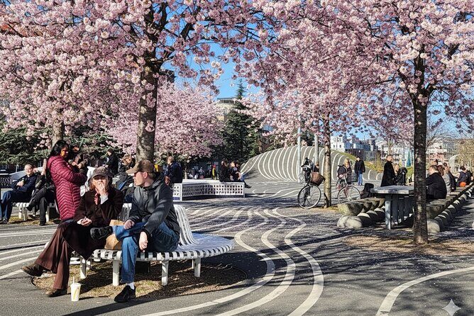 Nørrebro Walking Tour  The Worlds Coolest Neighborhood - Key Points