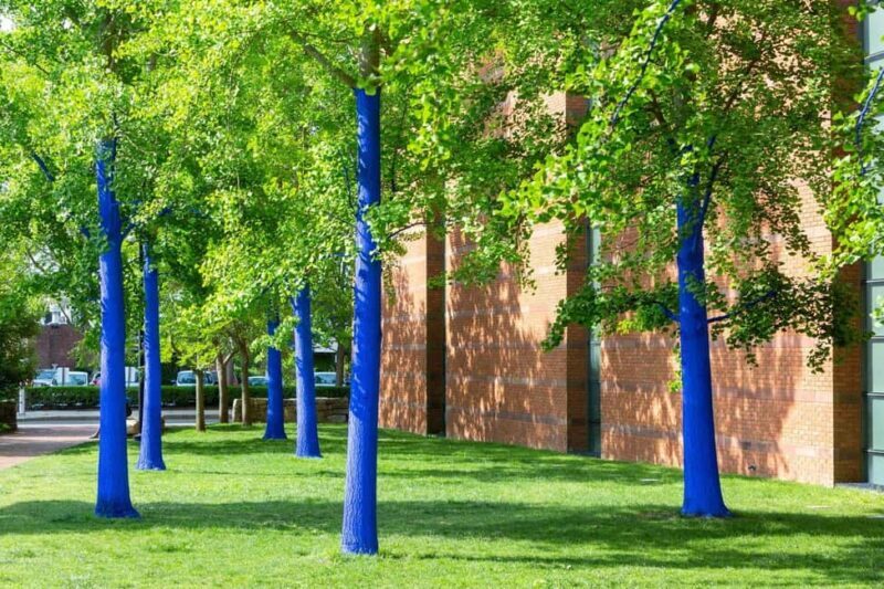 North Chelmsford: The Salem Witch Museum & Memorial Tour - North Chelmsford: The Salem Witch Museum & Memorial Tour — A Detailed Look