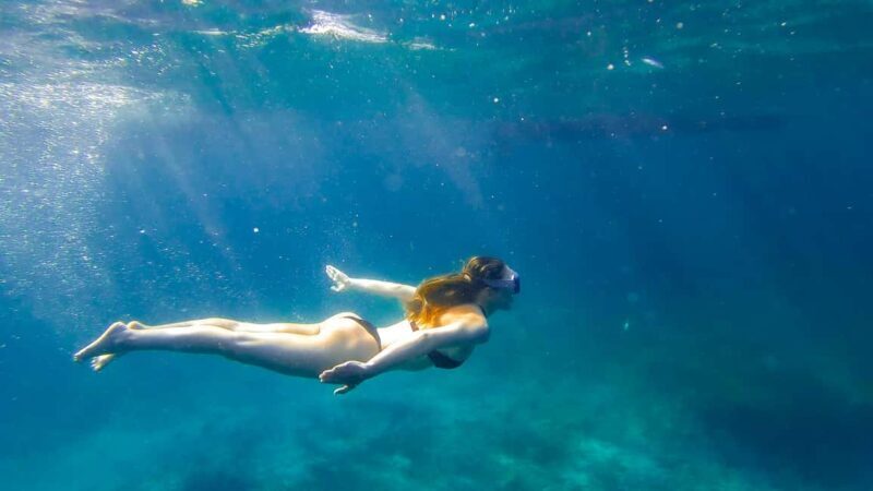 North Coast Dolphins Sunrise Adventure Tour - Real Traveler Insights