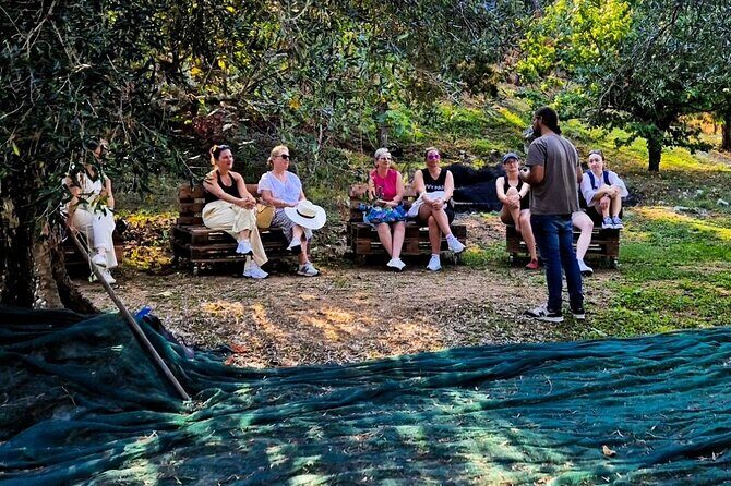 North Corfu Olive Tour With Olive oil Tasting & Meze - A Deep Dive into the North Corfu Olive Tour