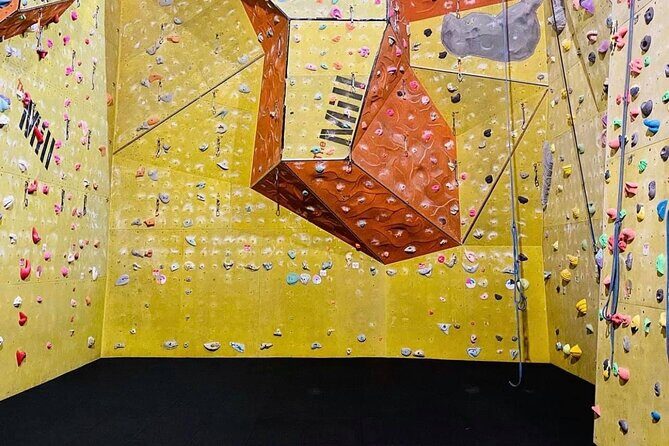 North Devon: Indoor Climbing Taster Session - Key Points