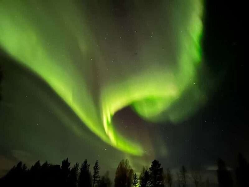 North, Dogs, Snowmobiles & Lights - Who Is This Tour Best For?