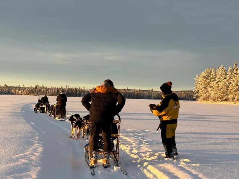 North, Dogs, Snowmobiles & Lights - The Sum Up: The Real Deal for Arctic Enthusiasts