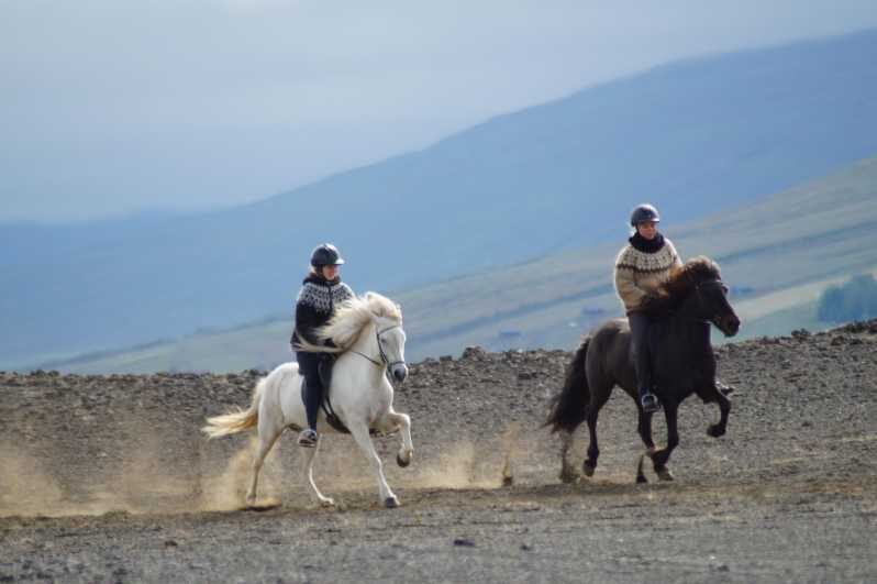 North Iceland: Horseback Riding Tour - Why This Tour Is Perfect for You