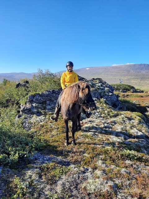 North Iceland: Horseback Riding Tour - Final Thoughts