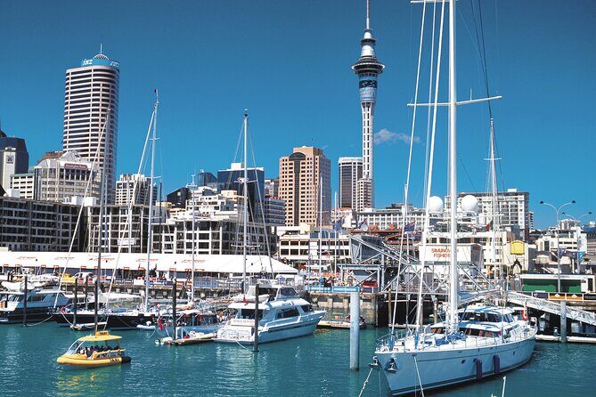 North Island Four-Day Highlights Tour from Auckland - What’s Included and What’s Not
