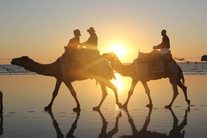 North of Rocks on Cable Beach: 1-Hour Sunset Camel Ride - Why Choose the 1-Hour Sunset Camel Ride?