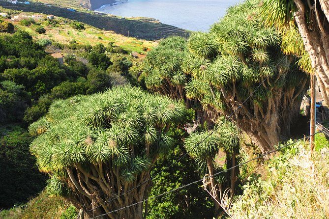 North Route (Price per vehicle, not per person) - FAQ