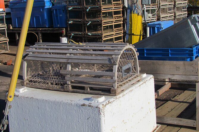 North Shore And More Private Tour - Who Would Love This Tour?