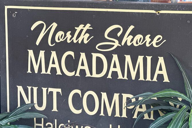 North Shore Foodie Fun: Eat, Explore, Enjoy (Incl. Dole) - Who Is This Tour Best For?