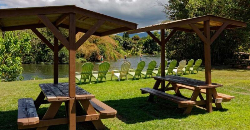 North Shore's best day! River, Turtles, Farm with Lunch - Key Points