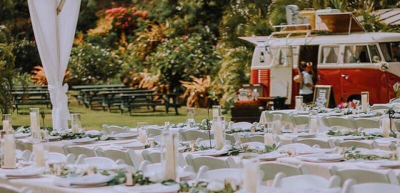 North Shore's best day! River, Turtles, Farm with Lunch - An Authentic Day on North Shore