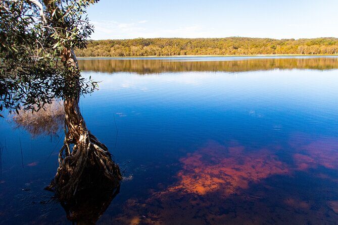 North Stradbroke Island Private Tour with Pickup - What Does the Tour Feel Like?