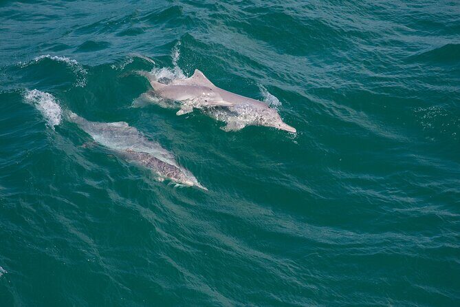 North Stradbroke Island Private Tour with Pickup - FAQ