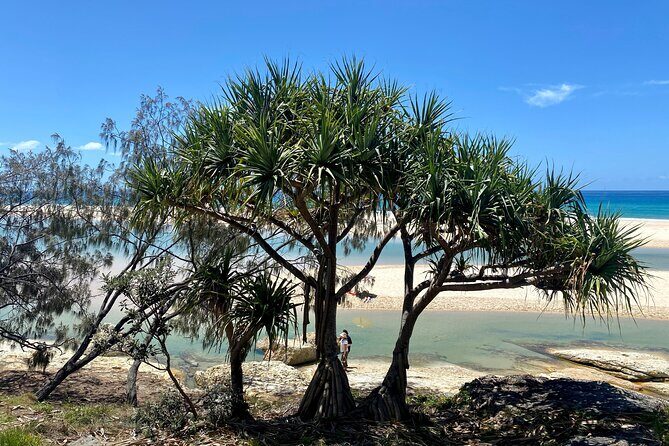 North Stradbroke Island WILDLIFE Adventure Tour from Brisbane - Final Thoughts