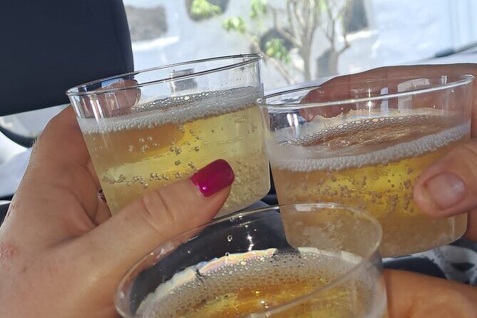 North Tour, Viewpoint, Brunch, White beach & lava pools - The Itinerary in Detail: What to Expect