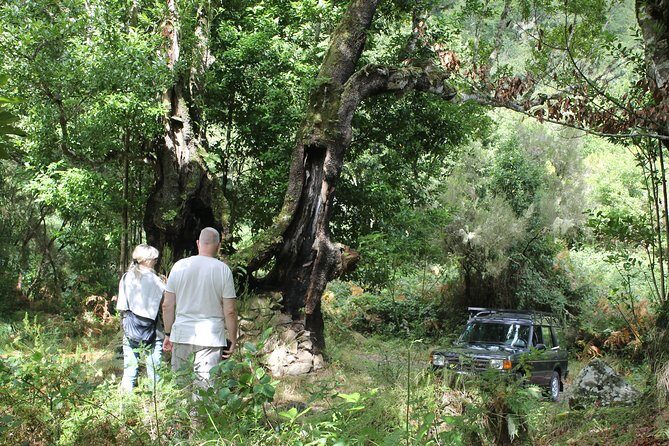 North Tour & Wine Tasting - 4x4 (Small Groups) - Weather and Packing Tips