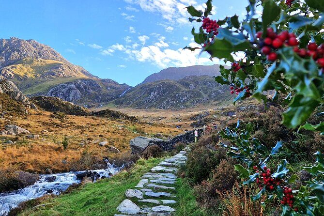 North Wales & Caernarfon Castle Full-Day Tour from Manchester - Final Thoughts