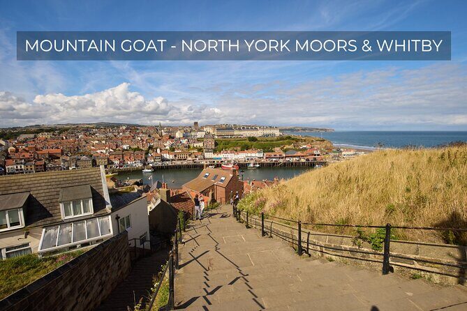 North York Moors and Whitby Day Tour from York - Exploring the North York Moors and Whitby in a Day