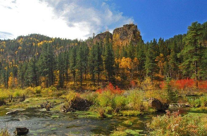 Northern Black Hills - Deadwood, Lead, Spearfish Canyon Tour - Transportation and Group Size