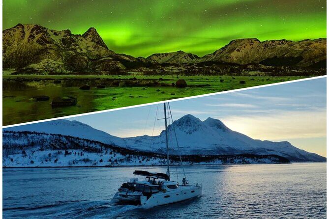 Northern Light Cruise With Luxury Catamaran in Tromso, Norway - Key Points