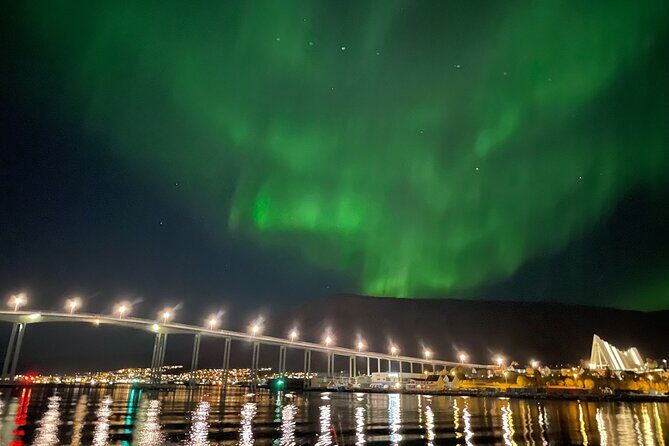 Northern Light Cruise With Luxury Catamaran in Tromso, Norway - A Closer Look at the Experience