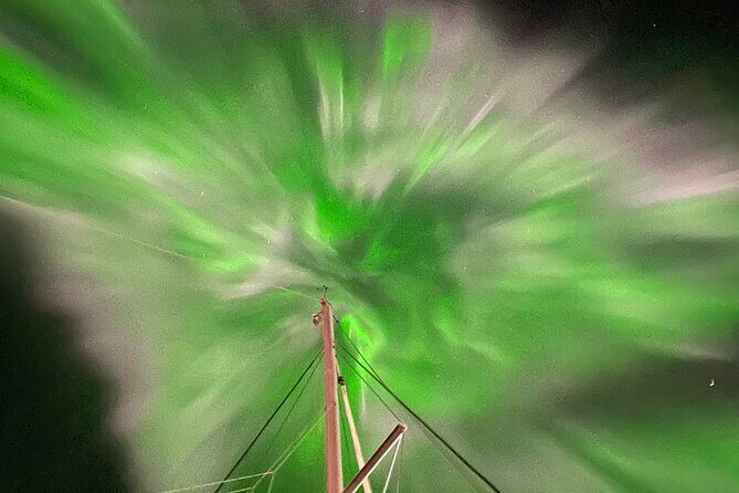 Northern Light Cruise With Luxury Catamaran in Tromso, Norway - The Cost and Value