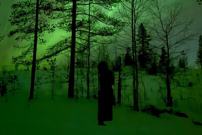 Northern Lights Adventure in the Wild with Campfire Treats - The Journey into the Arctic Wilderness