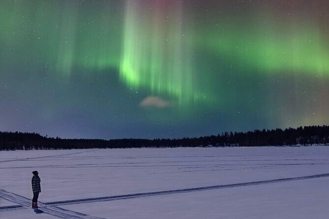 Northern Lights Adventure in the Wild with Campfire Treats - Who Will Love This Tour?