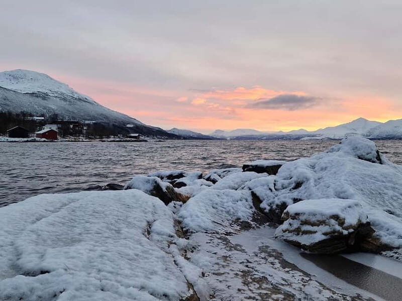 Northern Lights Adventure in Tromsø with Free Photos - Considerations & Limitations