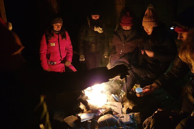 Northern Lights Auroras from Kemi-Tornio with Pickup - Transportation and Group Size