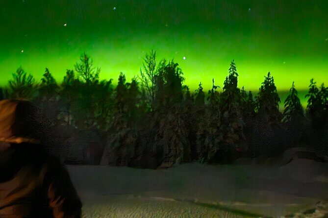 Northern Lights Auroras from Kemi-Tornio with Pickup - Authentic Experiences and Common Challenges