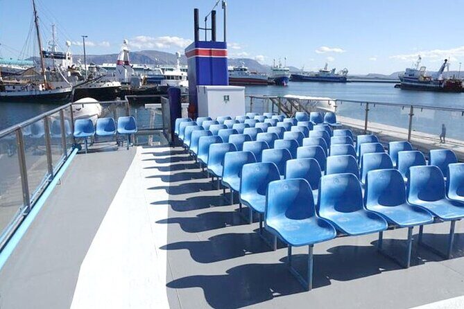 Northern Lights Boat Cruise from Reykjavik - An In-Depth Look at the Experience