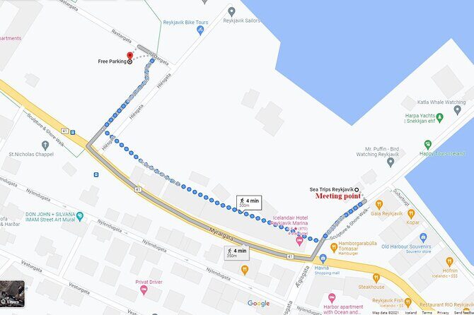 Northern Lights Boat Cruise from Reykjavik - Final Thoughts