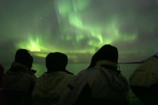 Northern Lights by Boat with a Backup Plan from Reykjavik - The Sum Up