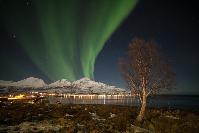 Northern Lights Chase by Bus in Tromso - The Realistic View: Benefits and Drawbacks