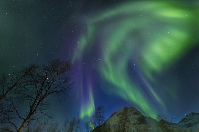 Northern Lights Chase by Bus in Tromso - Who Should Consider This Tour?