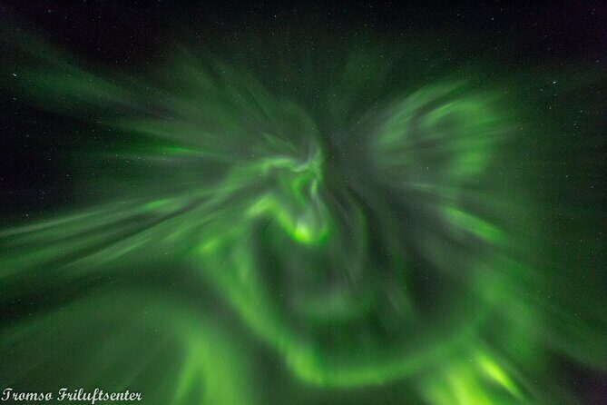 Northern Lights Chase with Authentic North Norwegian Charm - The Experience: What to Expect from This Northern Lights Tour