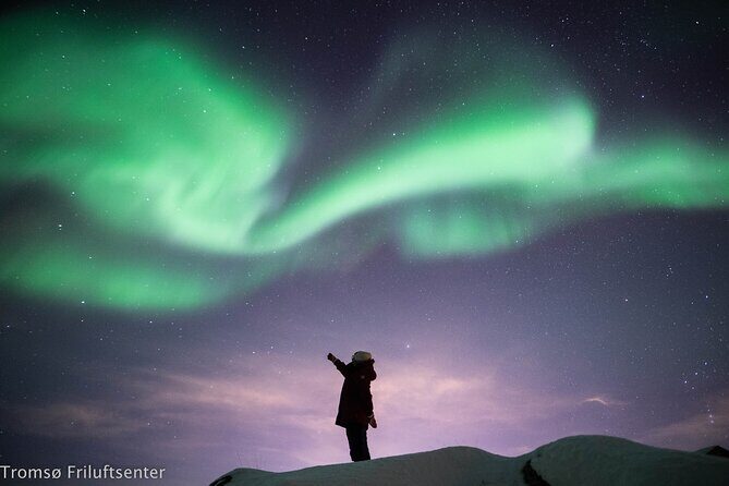 Northern Lights Chase with Authentic North Norwegian Charm - The Practicalities: Timing, Cost, and Booking