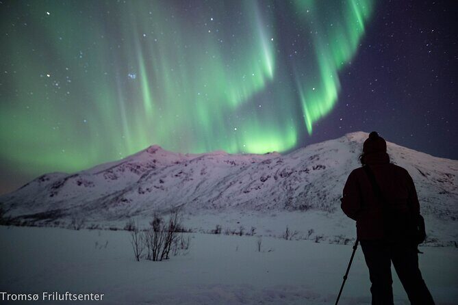 Northern Lights Chase with Authentic North Norwegian Charm - Who Will Love This Tour?