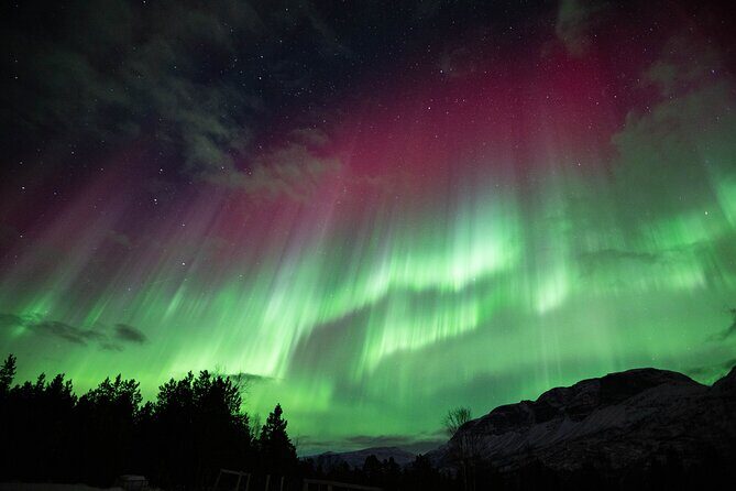 Northern Lights Chase with Authentic North Norwegian Charm - FAQ